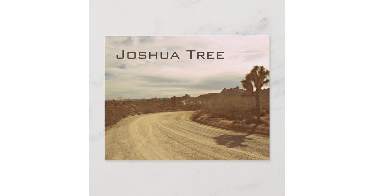 Joshua Tree, California Postcard | Zazzle