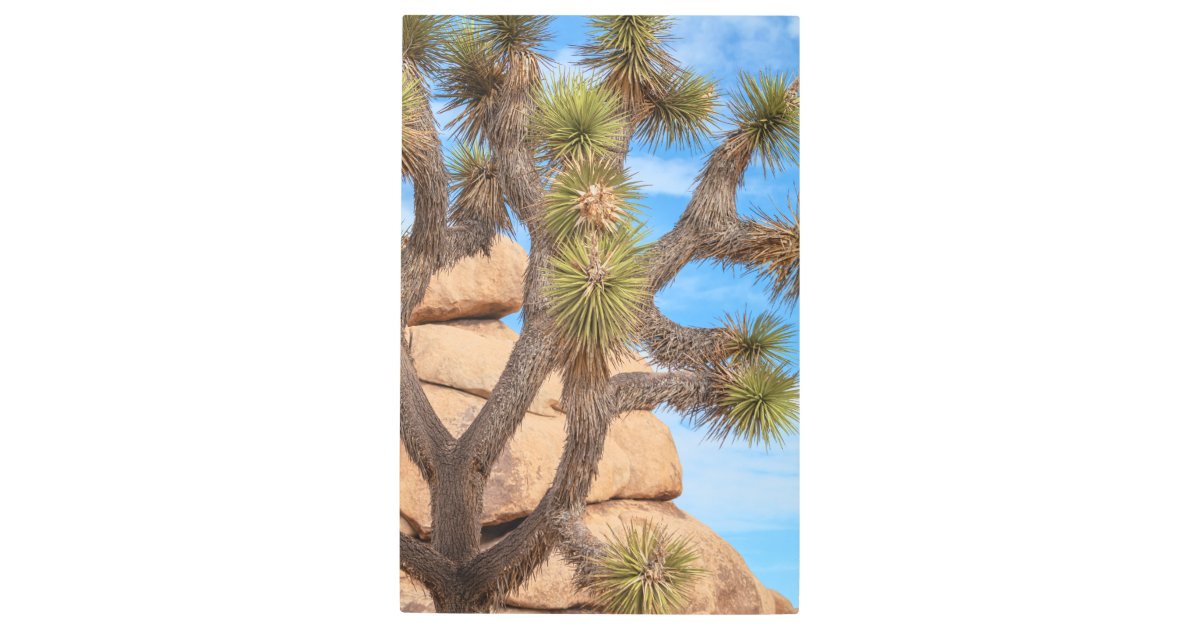 Joshua Tree Metal Print | Zazzle