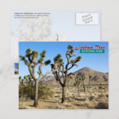 Joshua Tree National Park, California Postcard | Zazzle