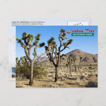 Joshua Tree National Park, California Postcard | Zazzle