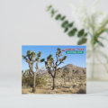 Joshua Tree National Park, California Postcard | Zazzle