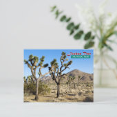 Joshua Tree National Park, California Postcard | Zazzle