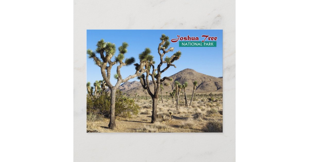 Joshua Tree National Park, California Postcard | Zazzle