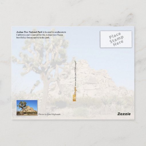 Joshua Tree National Park, California Postcard | Zazzle