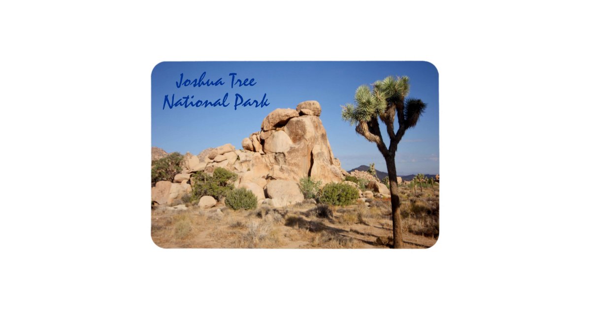 Joshua Tree National Park Magnet | Zazzle