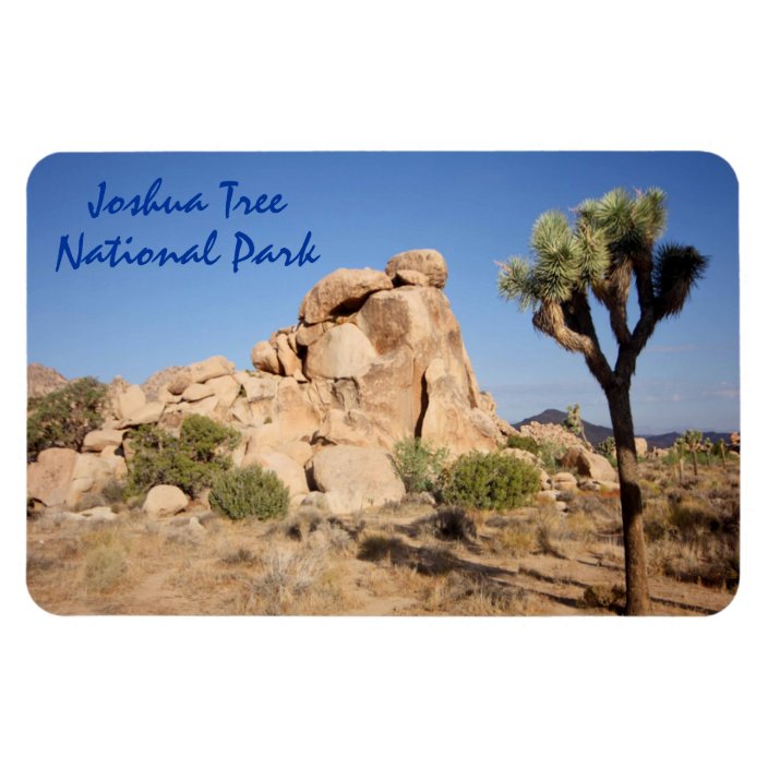 Joshua Tree National Park Magnet | Zazzle.com
