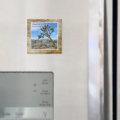 Joshua Tree National Park Magnet! Magnet | Zazzle