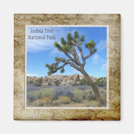 Joshua Tree National Park Magnet! Magnet | Zazzle.com