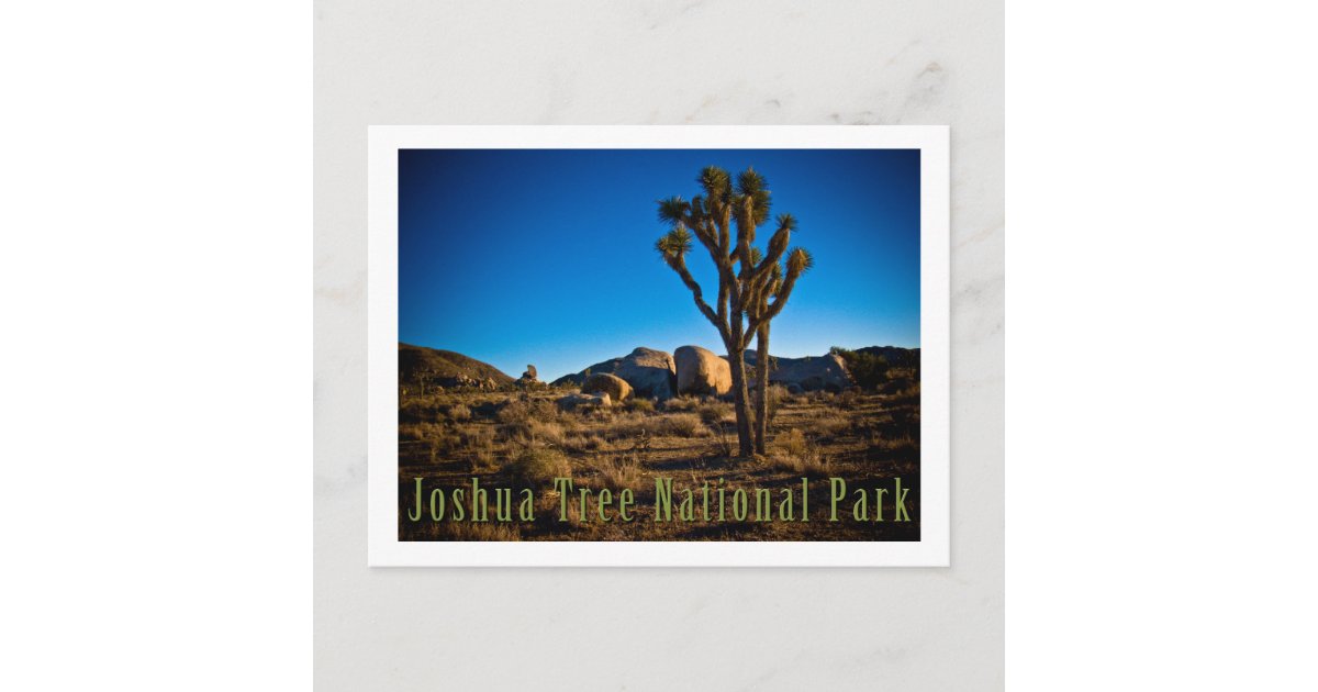 Joshua Tree National Park Postcard | Zazzle