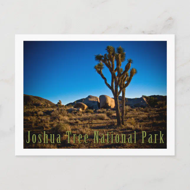 Joshua Tree National Park Postcard | Zazzle
