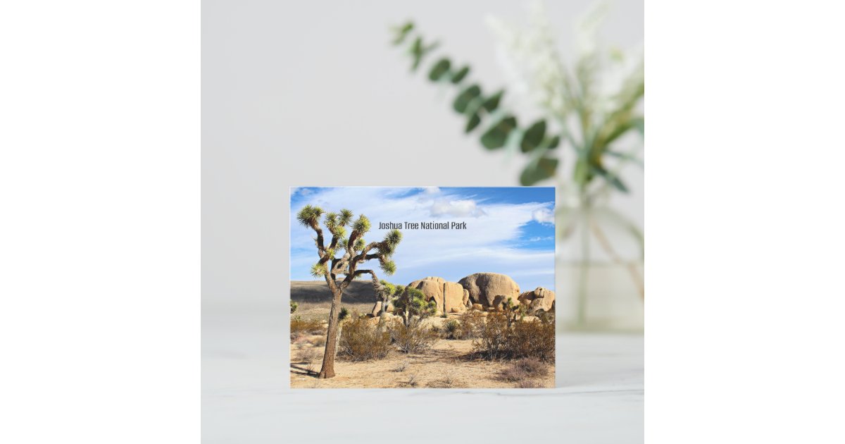 Joshua Tree National Park Postcard | Zazzle