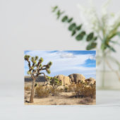 Joshua Tree National Park Postcard | Zazzle