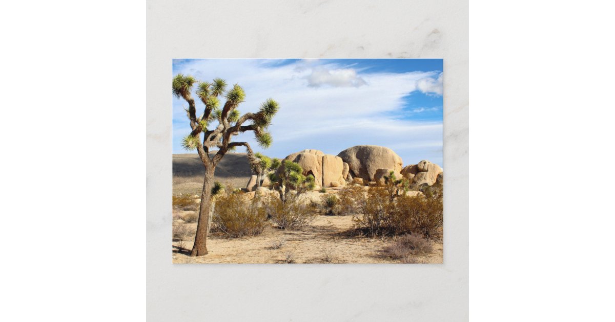 Joshua Tree National Park Postcard | Zazzle