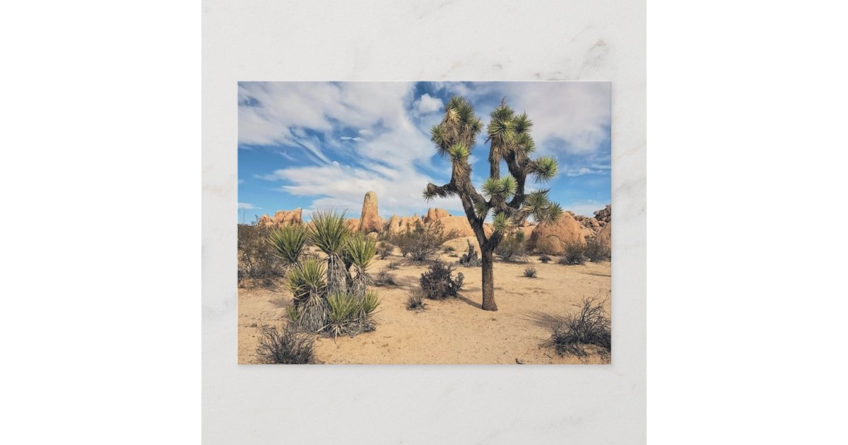 Joshua Tree National Park Postcard | Zazzle