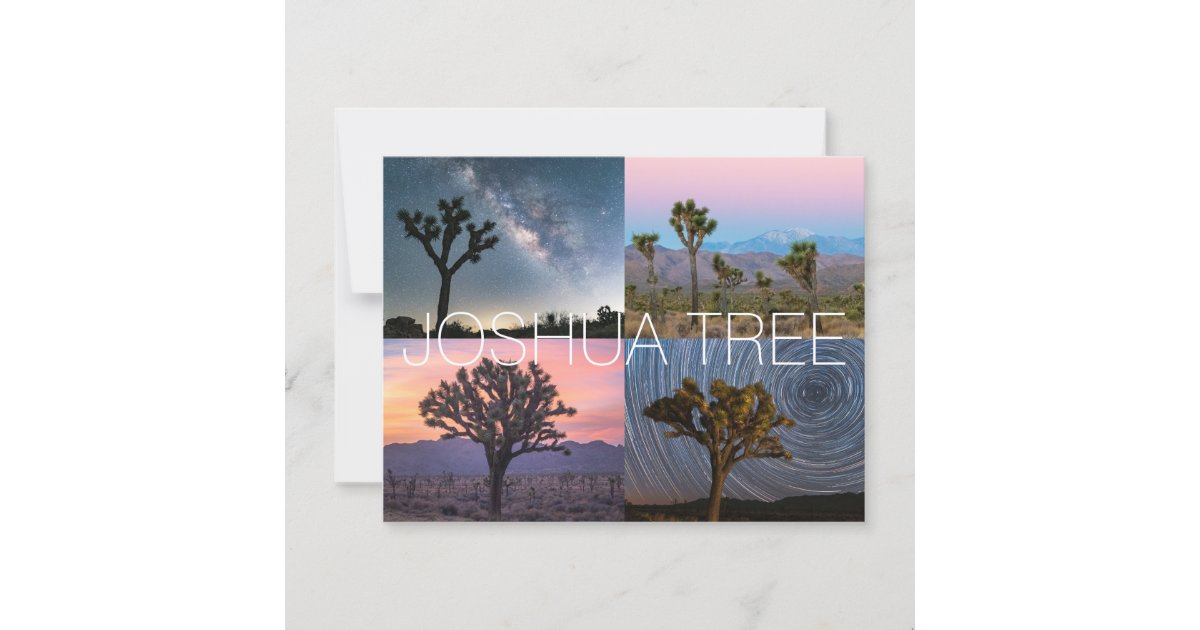 Joshua Tree National Park Postcard | Zazzle