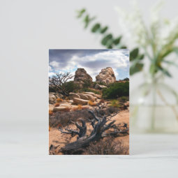 Joshua Tree National Park Postcard | Zazzle