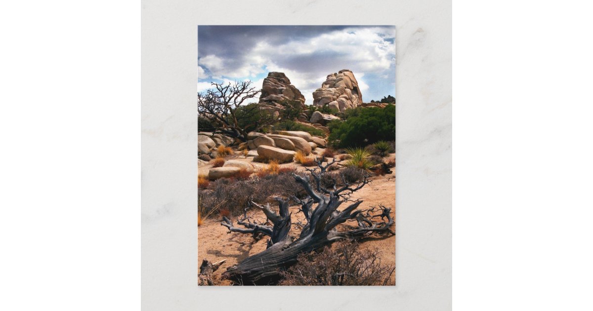 Joshua Tree National Park Postcard | Zazzle