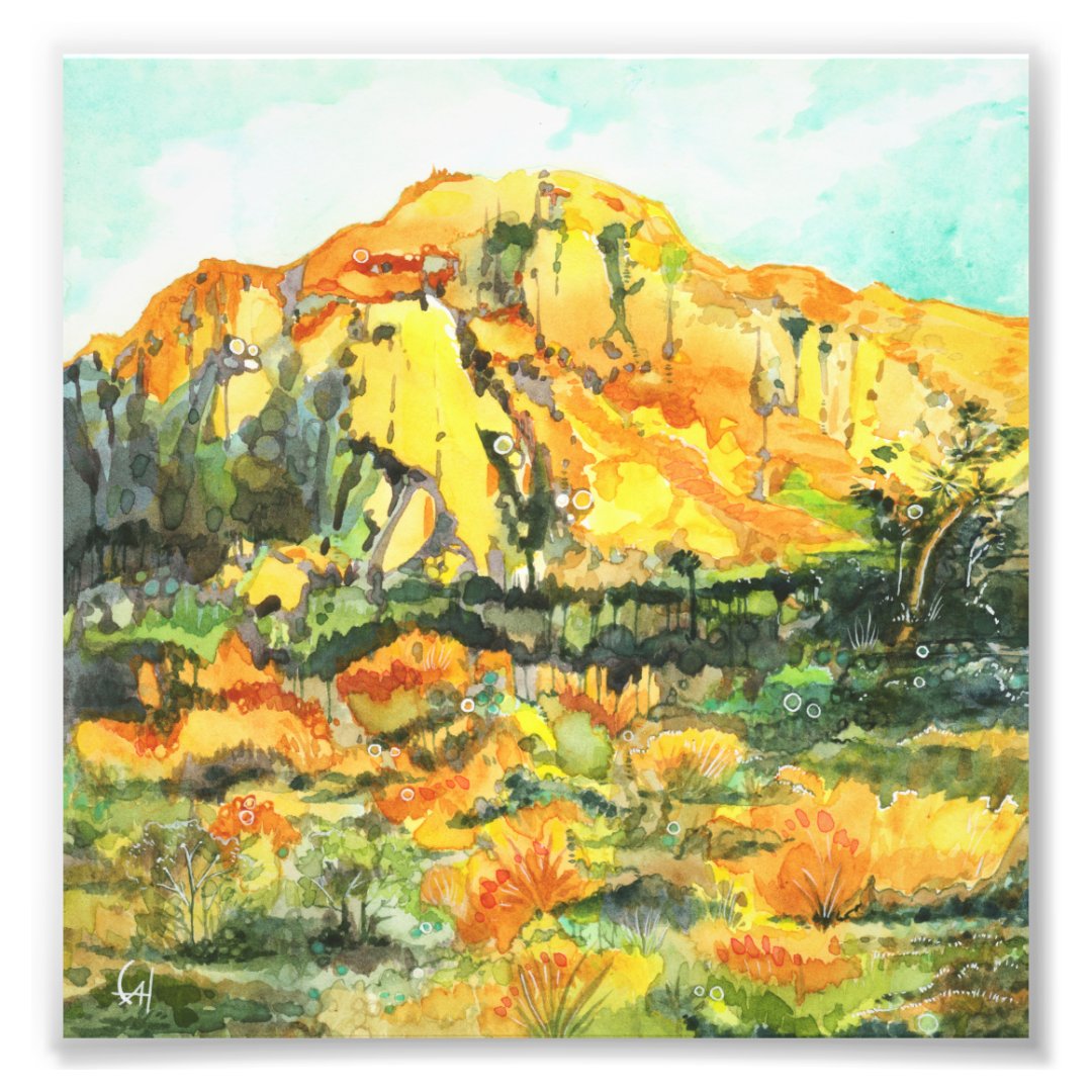 Joshua Tree Sunset - watercolor painting Photo Print | Zazzle
