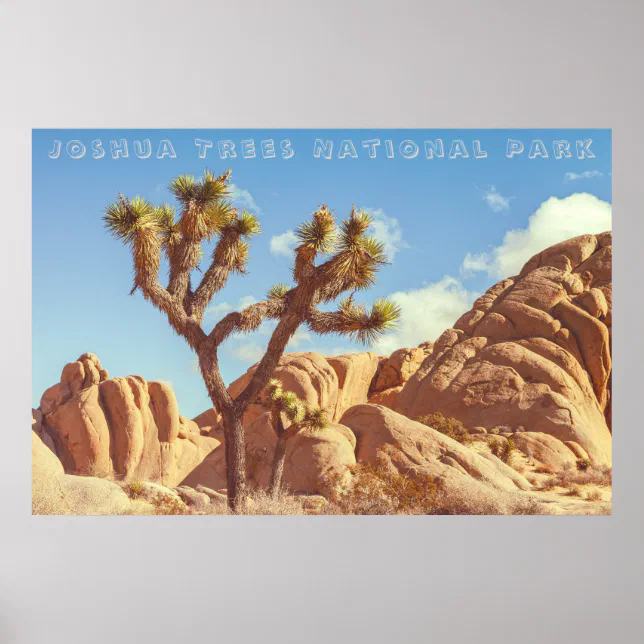 Joshua Trees National Park Landscape Scenery Poster | Zazzle