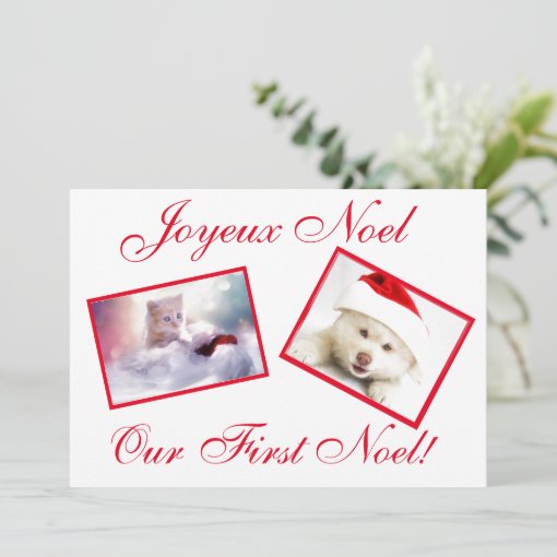 Joyeux Noel Best Friends Pets First Noel Card | Zazzle