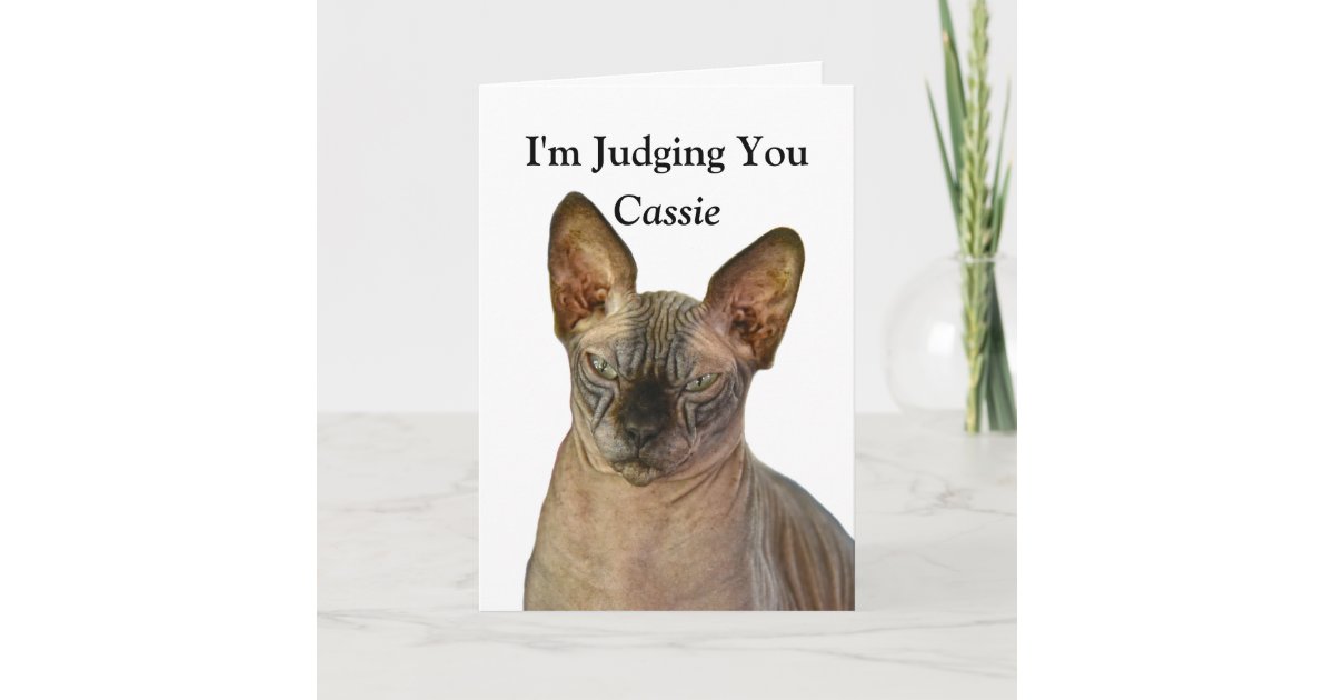 Judgmental Sphinx Cat Happy Birthday Cassie Card | Zazzle