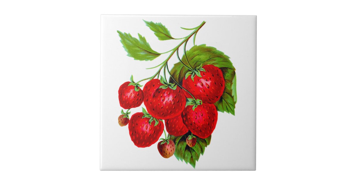 Juicy Red Strawberries Ceramic Tile | Zazzle