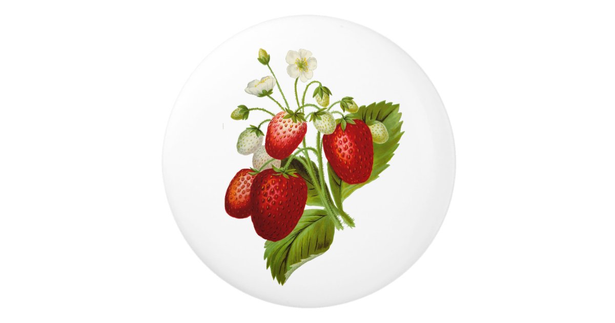 Juicy Strawberry Kitchen Cabinet Drawer Knob | Zazzle