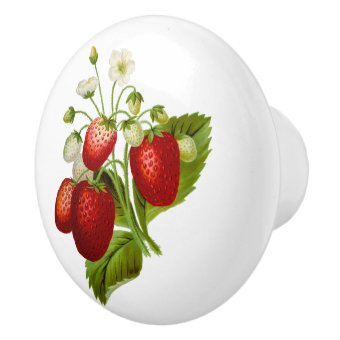 Juicy Strawberry Kitchen Cabinet Drawer Knob | Zazzle