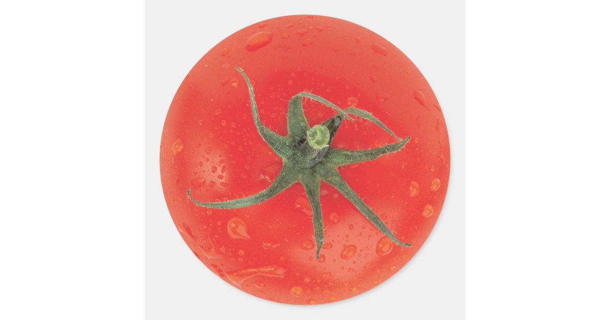 Juicy Tomato Classic Round Sticker | Zazzle