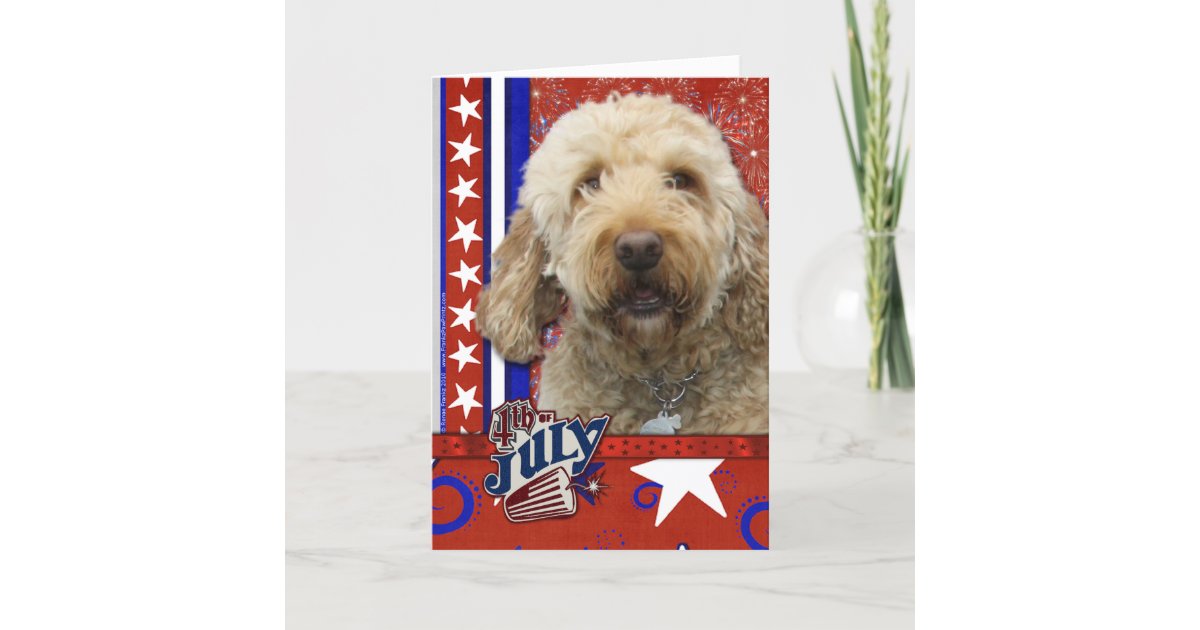 July 4th Firecracker - GoldenDoodle Card | Zazzle