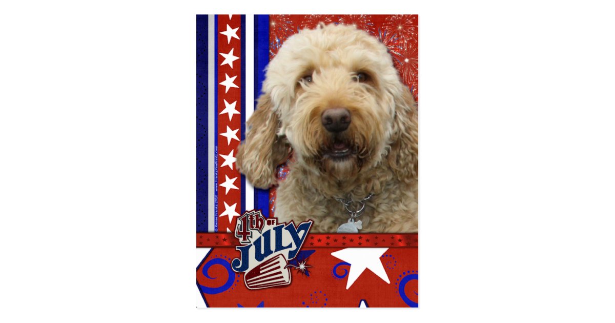 July 4th Firecracker - GoldenDoodle Postcard | Zazzle.com