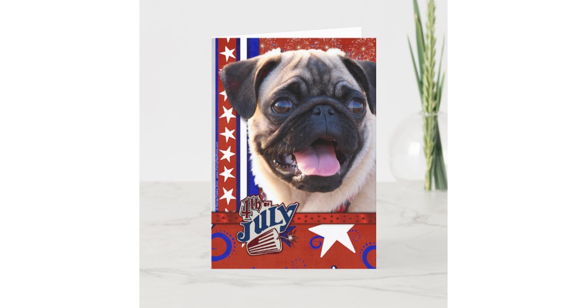 July 4th Firecracker - Pug Card | Zazzle