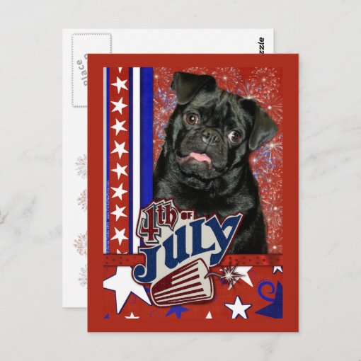 July 4th Firecracker - Pug Postcard | Zazzle