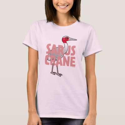 Cranes of the World Map by Birdorable