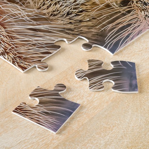 Jumping spider jigsaw puzzle | Zazzle