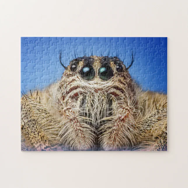 Jumping spider jigsaw puzzle | Zazzle