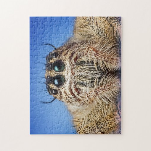 Jumping spider jigsaw puzzle | Zazzle