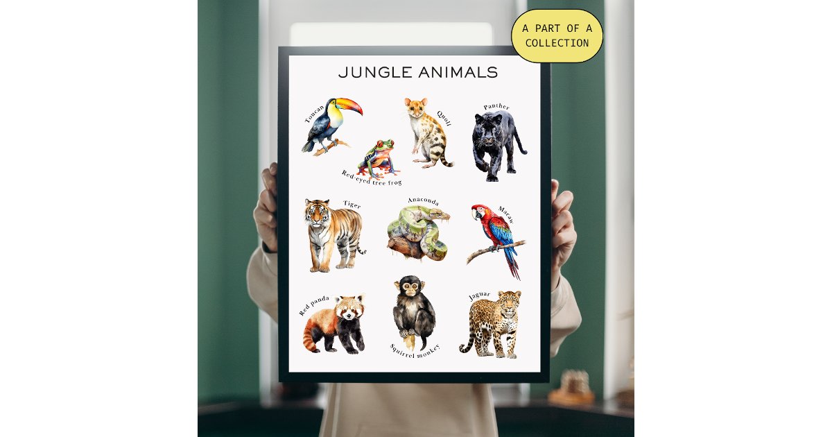 Jungle Animals Educational Poster | Zazzle