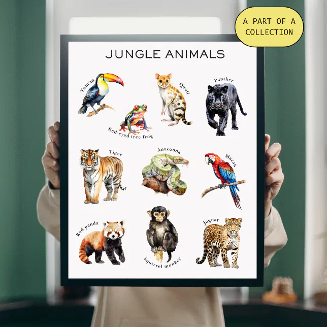 Jungle Animals Educational Poster | Zazzle