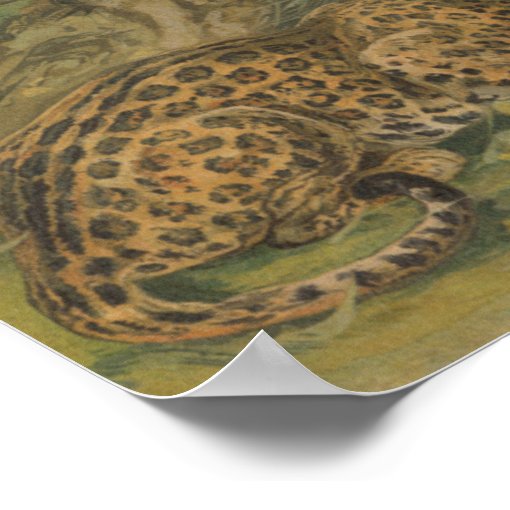 Jungle Jaguar and Animal Friends Poster | Zazzle