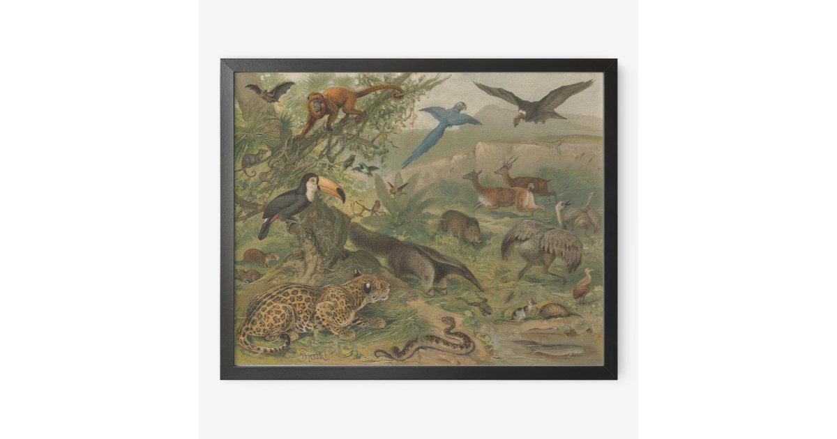 Jungle Jaguar and Animal Friends Poster | Zazzle