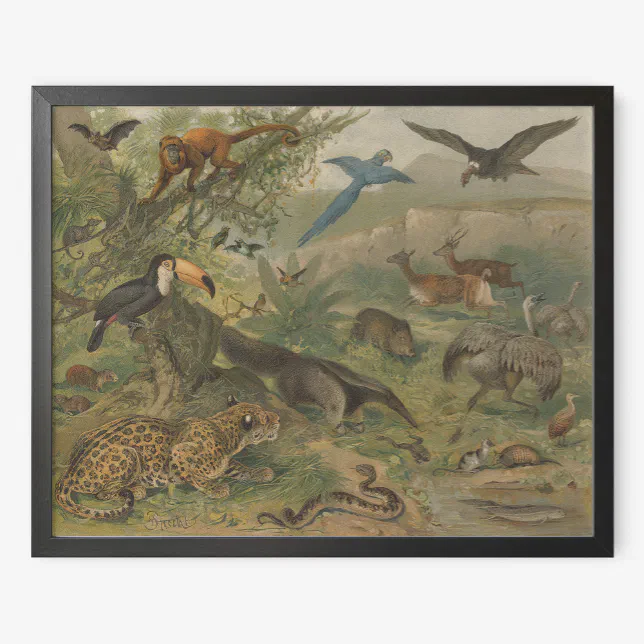 Jungle Jaguar and Animal Friends Poster | Zazzle