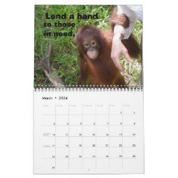 Jungle Lessons Wild Animal calendar | Zazzle