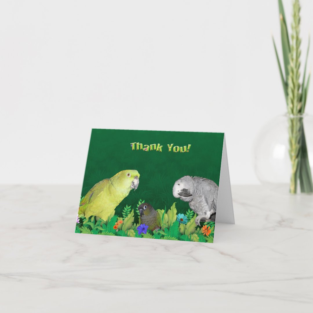 Jungle Parrot thank you note cards | Zazzle