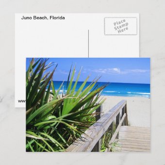 Juno Beach Florida Postcard | Zazzle