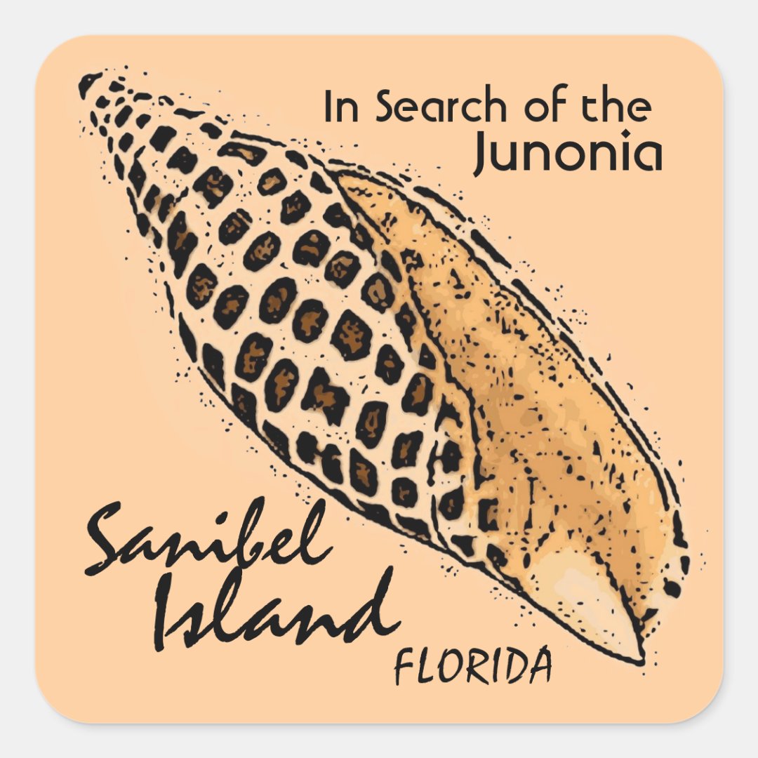 Junonia shell Sanibel Island Florida stickers | Zazzle