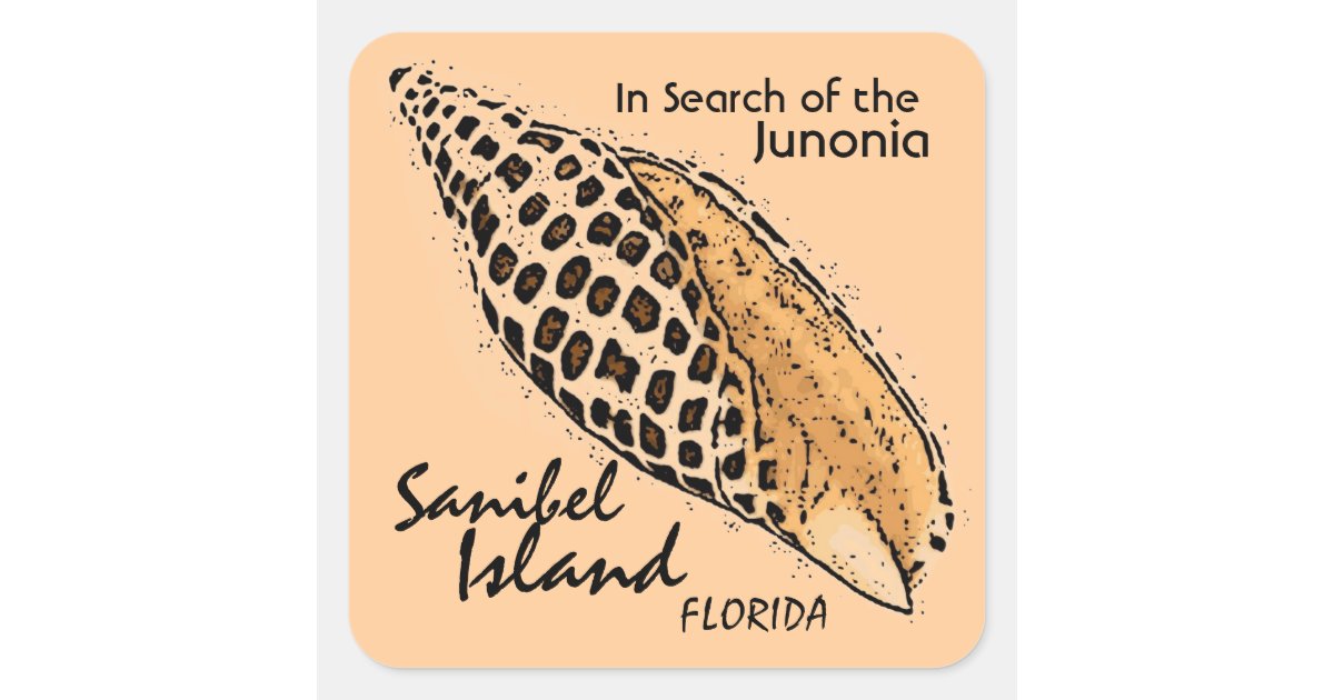 Junonia shell Sanibel Island Florida stickers | Zazzle