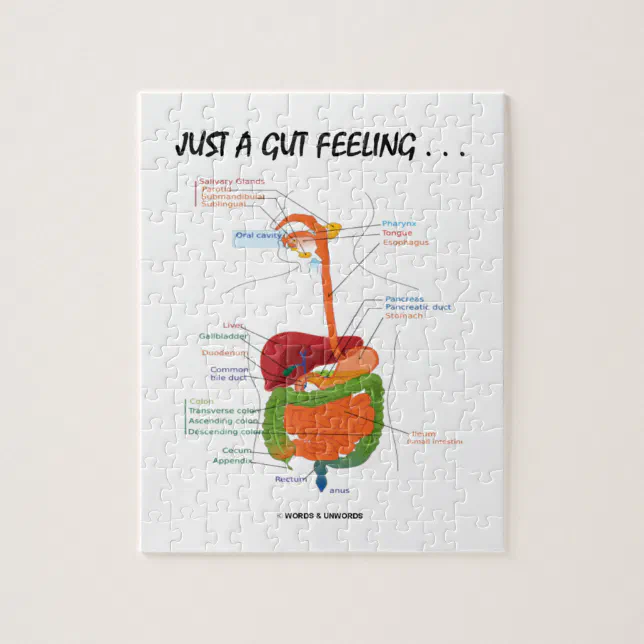Just A Gut Feeling . . . (Digestive System) Jigsaw Puzzle | Zazzle