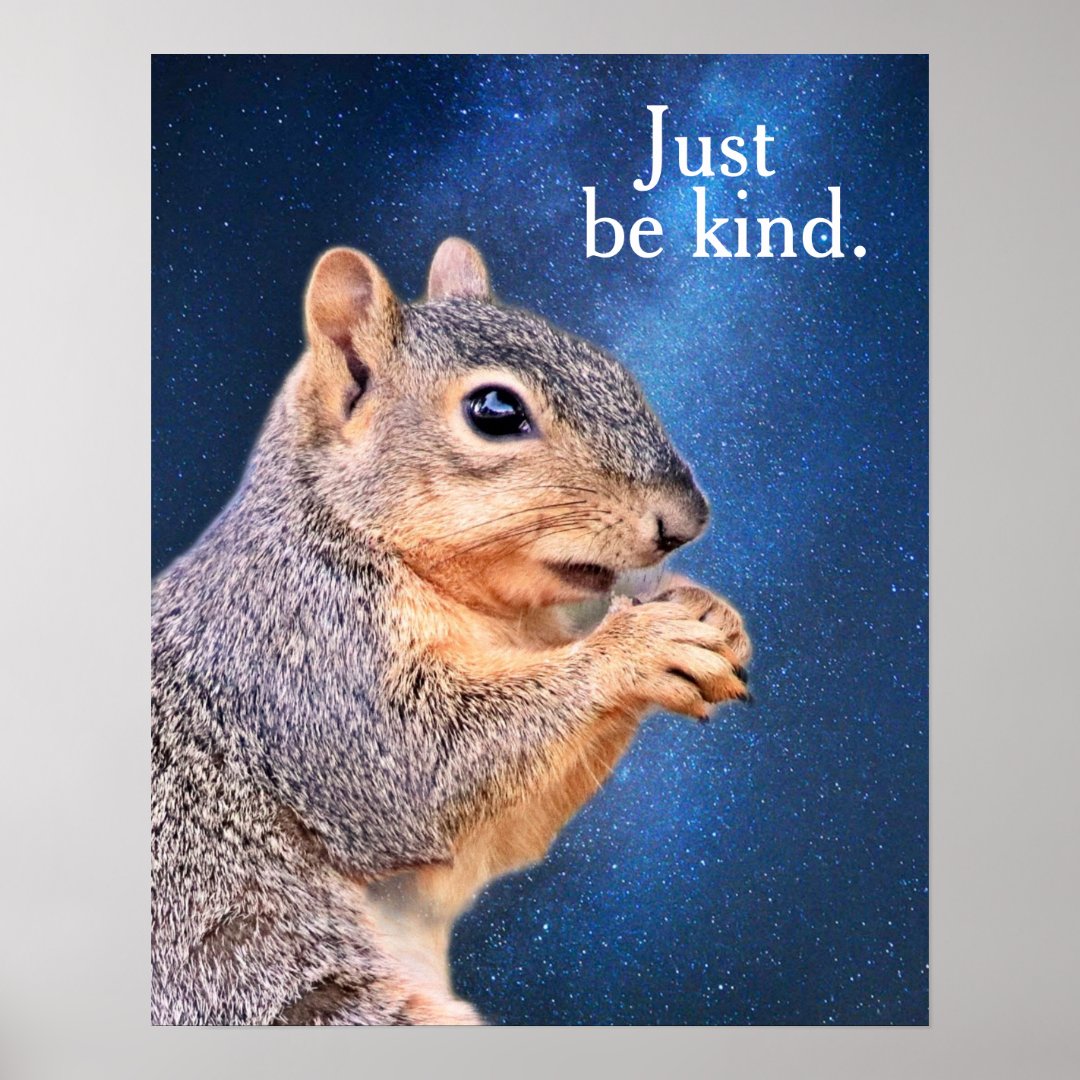 Just Be Kind Poster | Zazzle