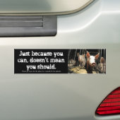 Just because you can, pigs bumper sticker | Zazzle